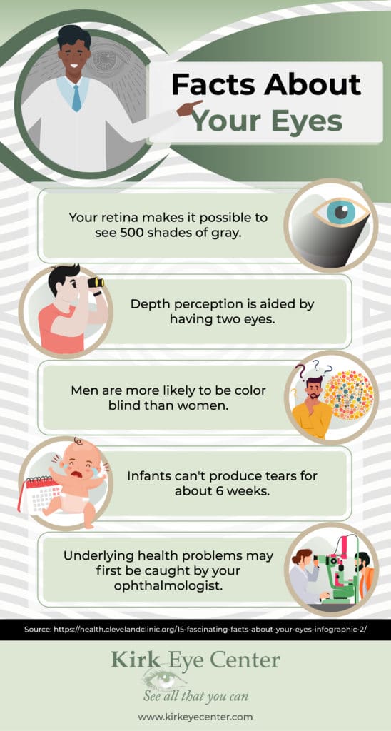 Infographic: Interesting Facts About the Eyes - Kirk Eye Center